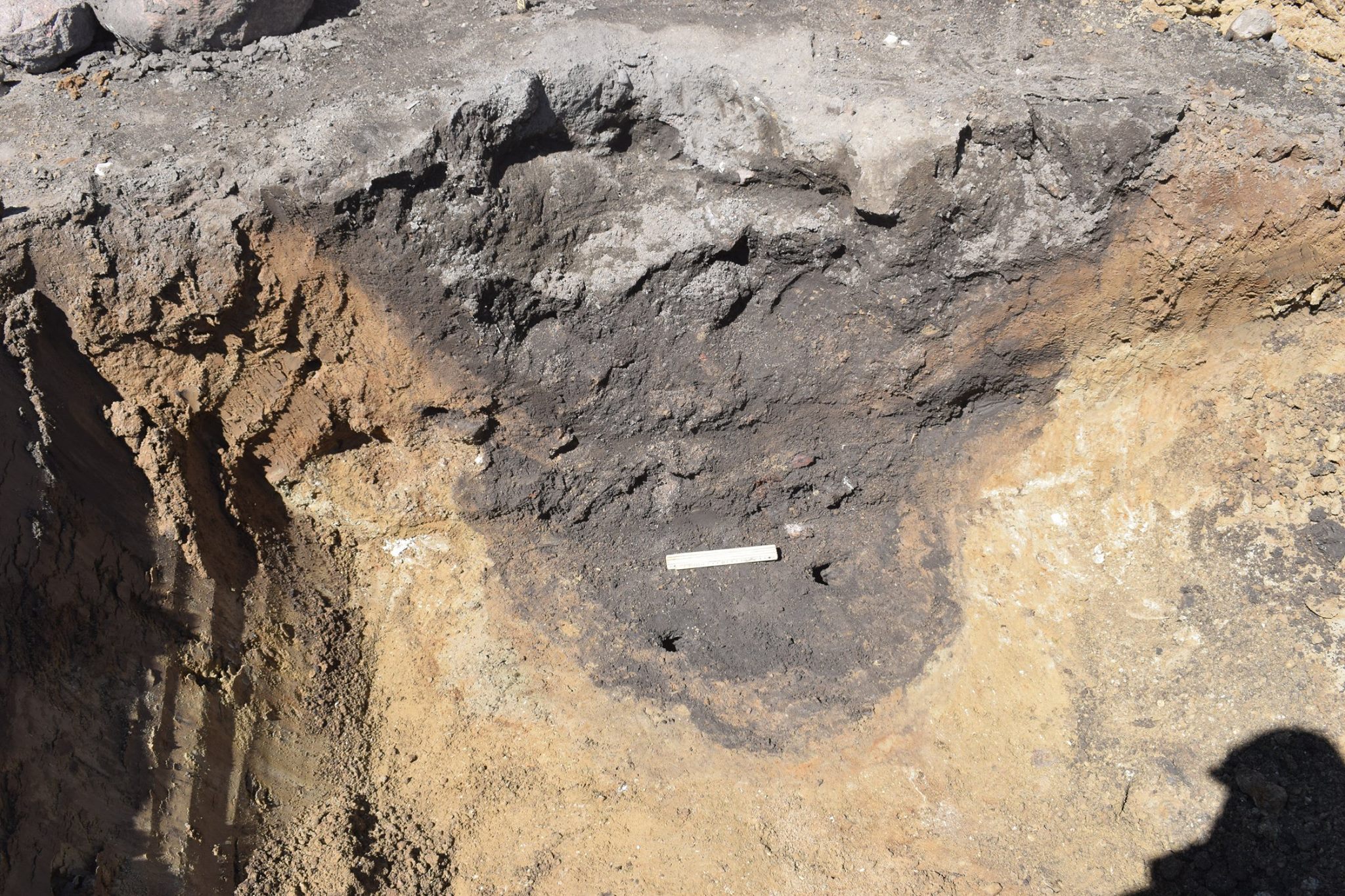 Brunnar och skelett | Arkeologerna