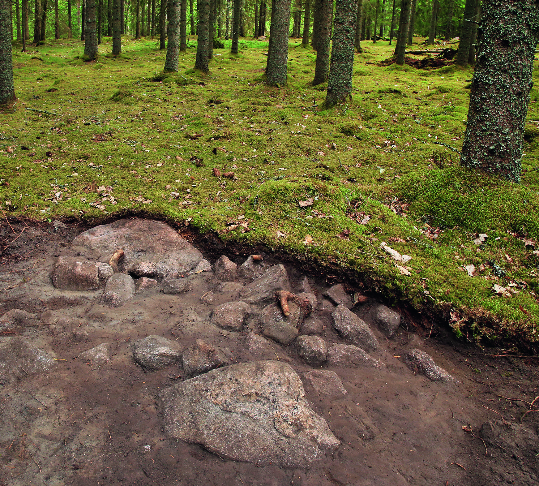 Fossila odlingsspår och gravar | Arkeologerna